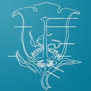 Login - Virtual Workforce